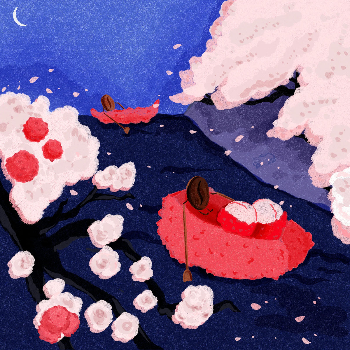 Hydrangea - Lychee Co-Ferment, Washed Castillo - Santa Monica – Sigma ...