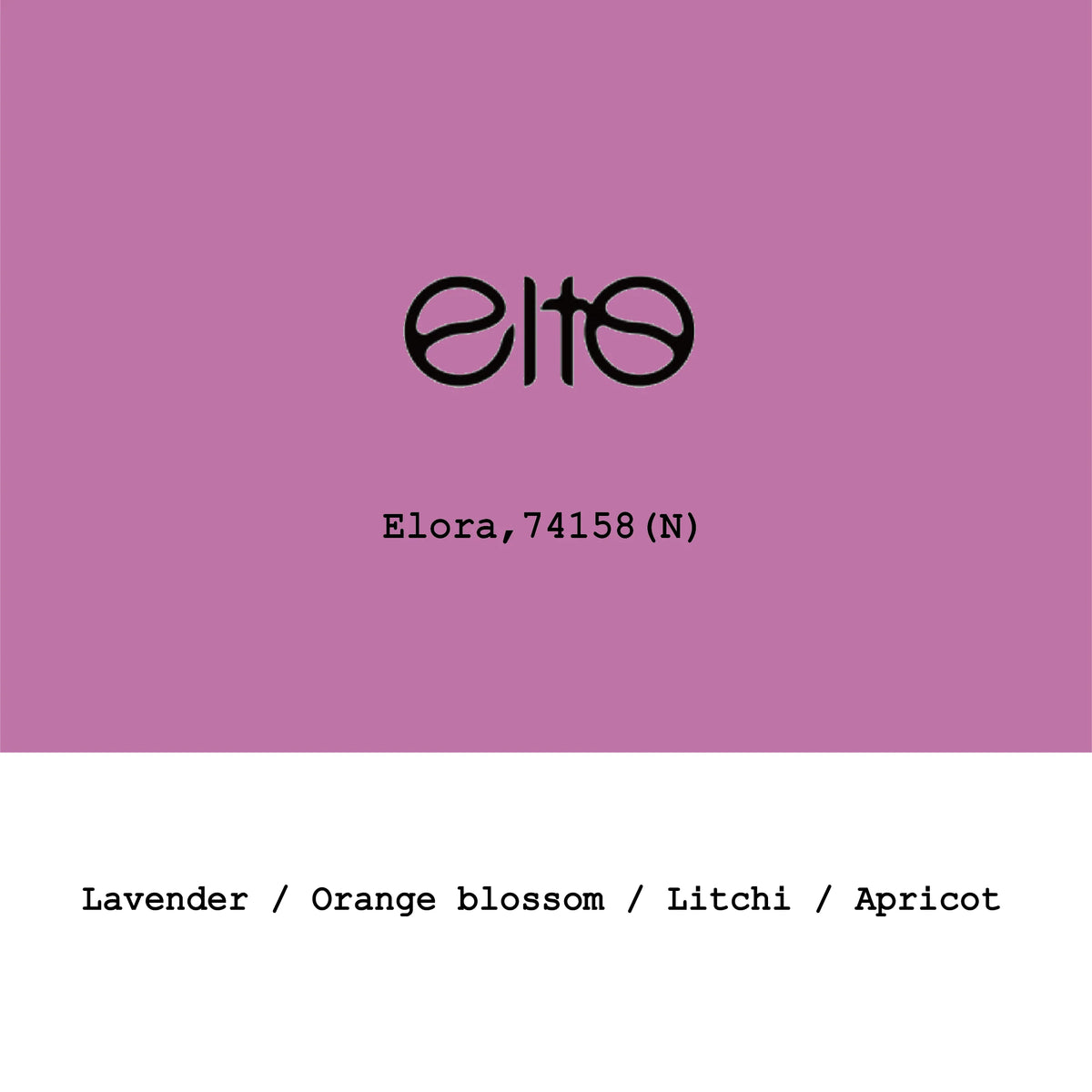 Goût & Co - Ethiopia Elto Elora 74158 Natural – Sigma Coffee UK