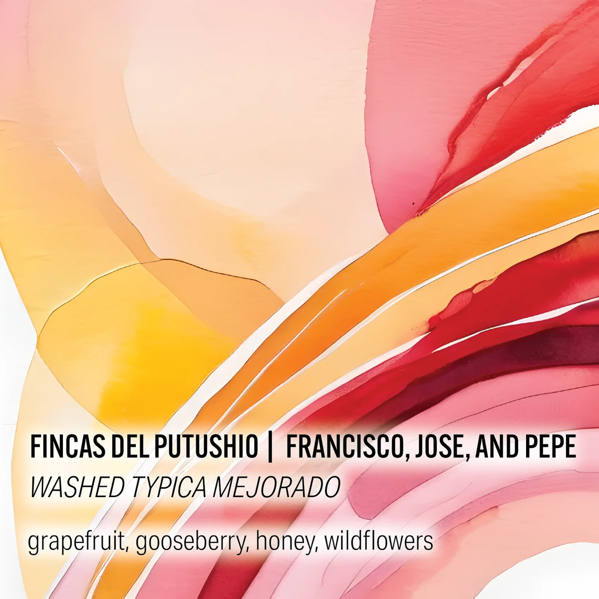 Moonwake - Fincas Del Putushio - Washed Typica Mejorado - Ecuador ...