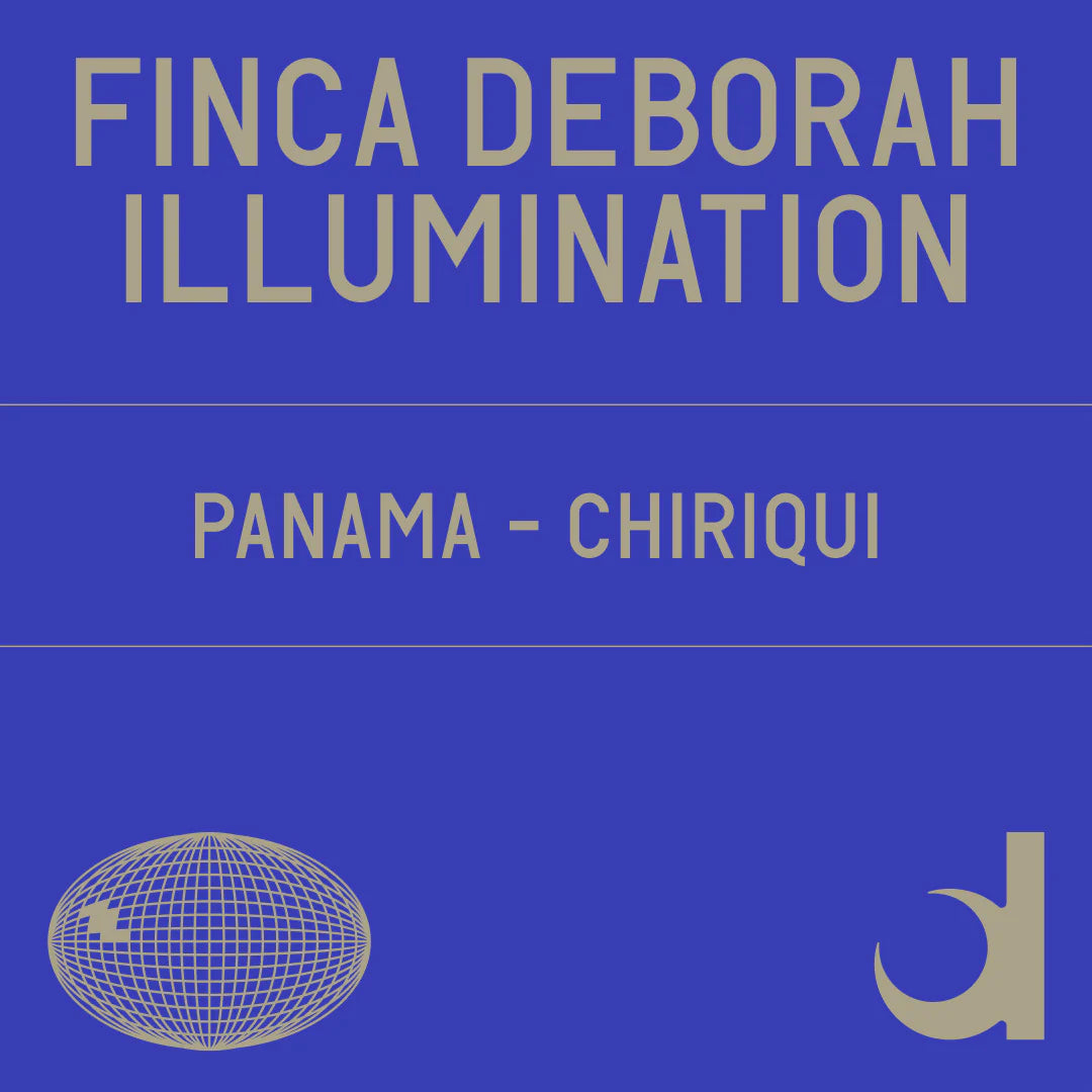 Datura | Finca Deborah Illumination Gesha (100g) – Sigma Coffee UK