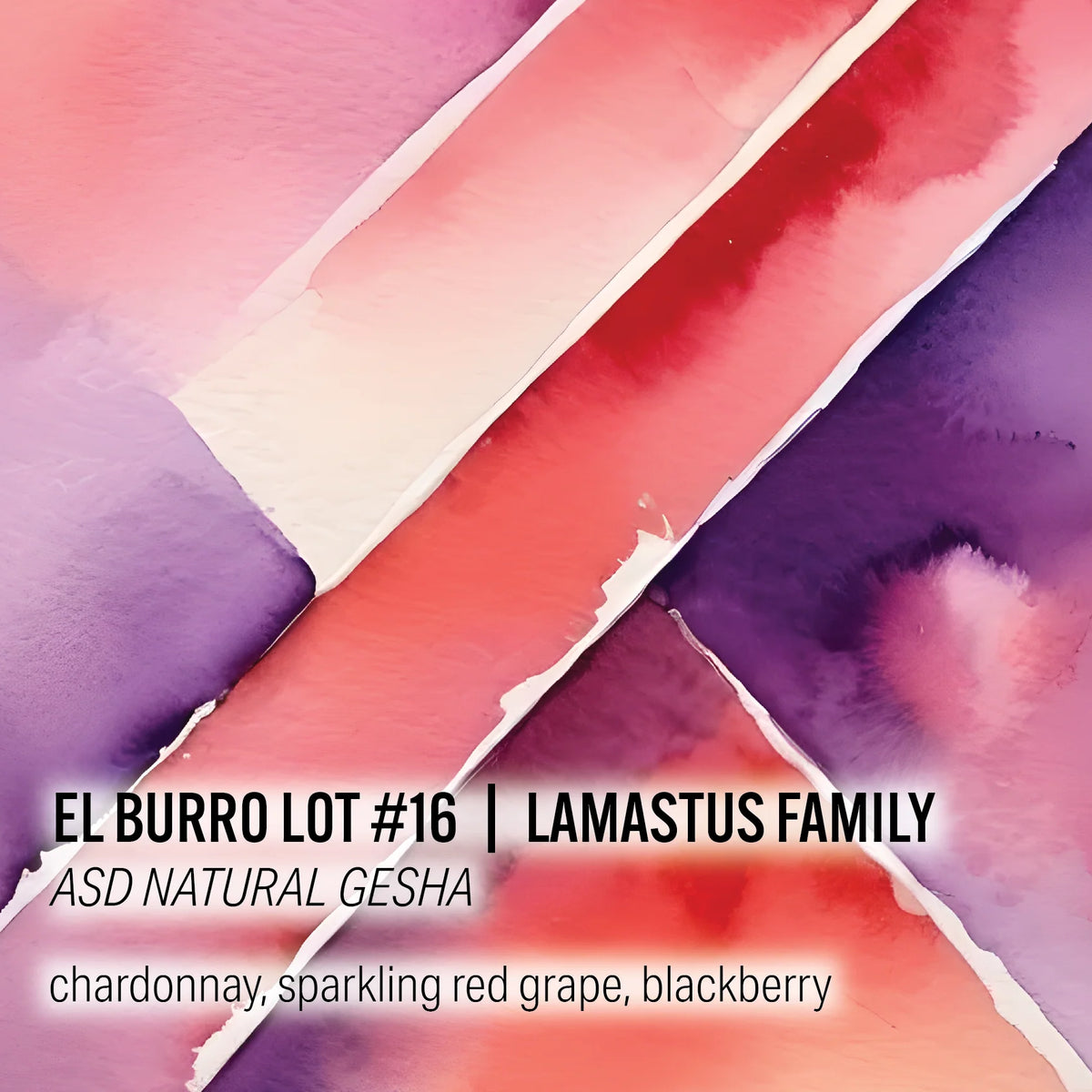 Moonwake - Lamastus Family El Burro Lot #16- ASD Natural Gesha – Sigma ...